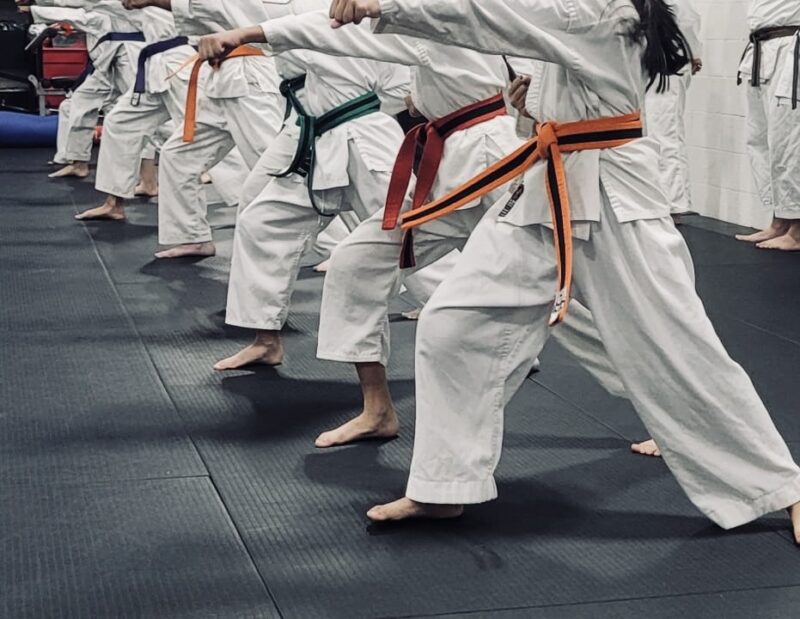 AMA Dojo in Mississauga | Karate, Jiu-Jitsu, Tai-Chi & Self Defence